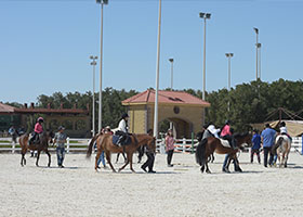 Welcome to Kuwait Riding Center - SERVICES & FACILITIES
