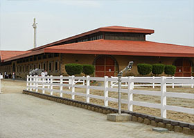 Welcome to Kuwait Riding Center - SERVICES & FACILITIES