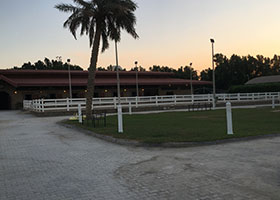 Welcome to Kuwait Riding Center - SERVICES & FACILITIES